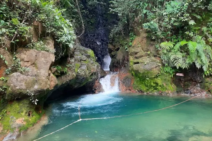 Curug Cibulao, Air Terjun Eksotis yang Dikelilingi Tanaman Tropis di ...